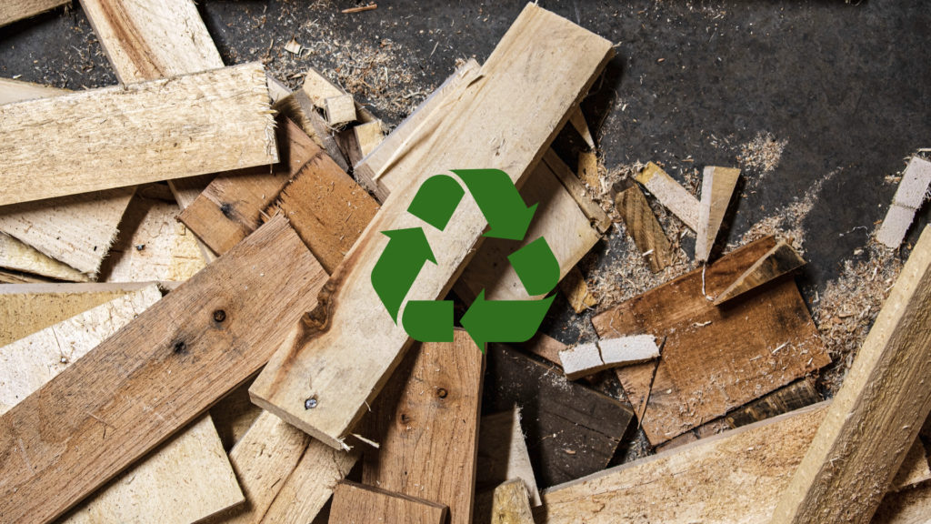 Contribuiamo a salvare gli alberi - Terme Recuperi